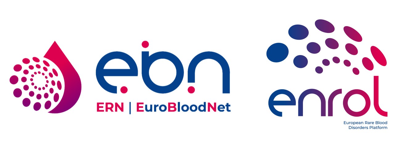 The 4rth ERN-EuroBloodNet Progress meeting took place on 7th of ...
